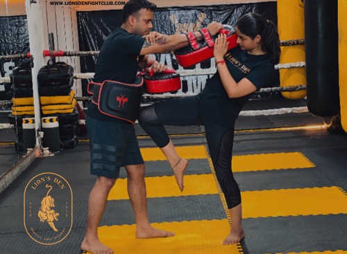 Lion's Den Fight Club - Best MMA Training Classes, Coaching & Clubs